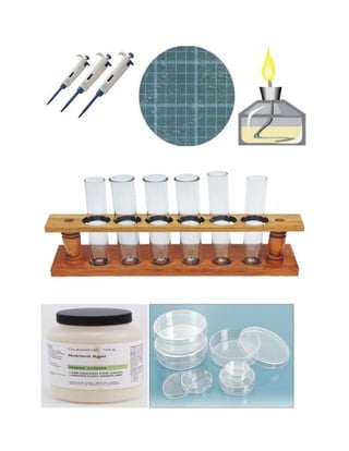 Microbiology Lab Inoculating Instruments Names