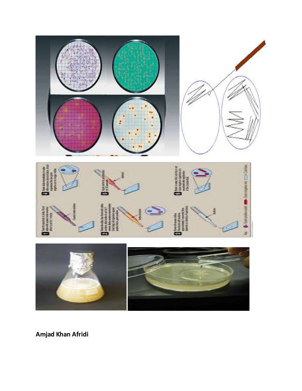 Microbiology lab instruments