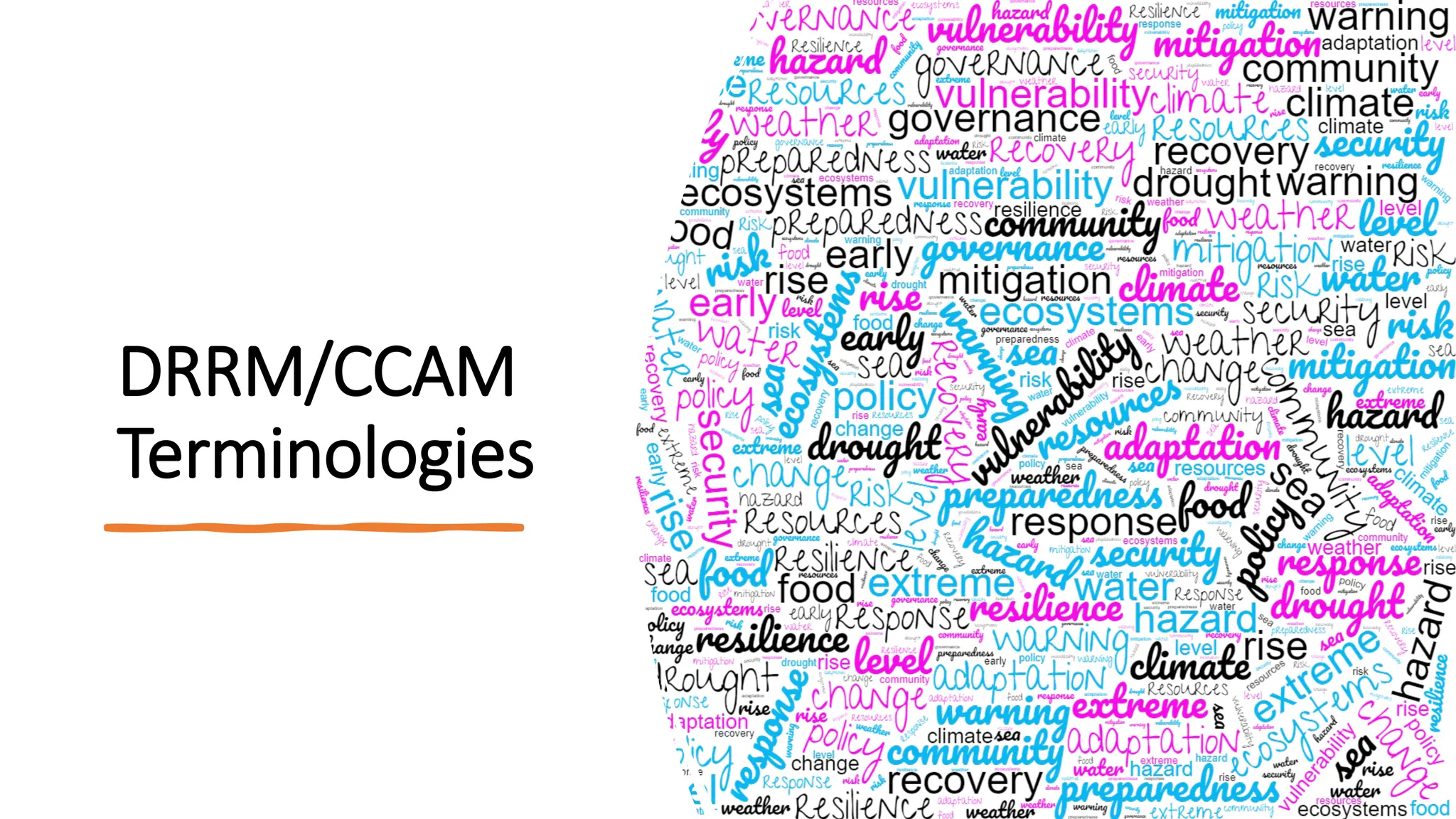 Disaster Risk Reduction and Management in Basic Education.pdf