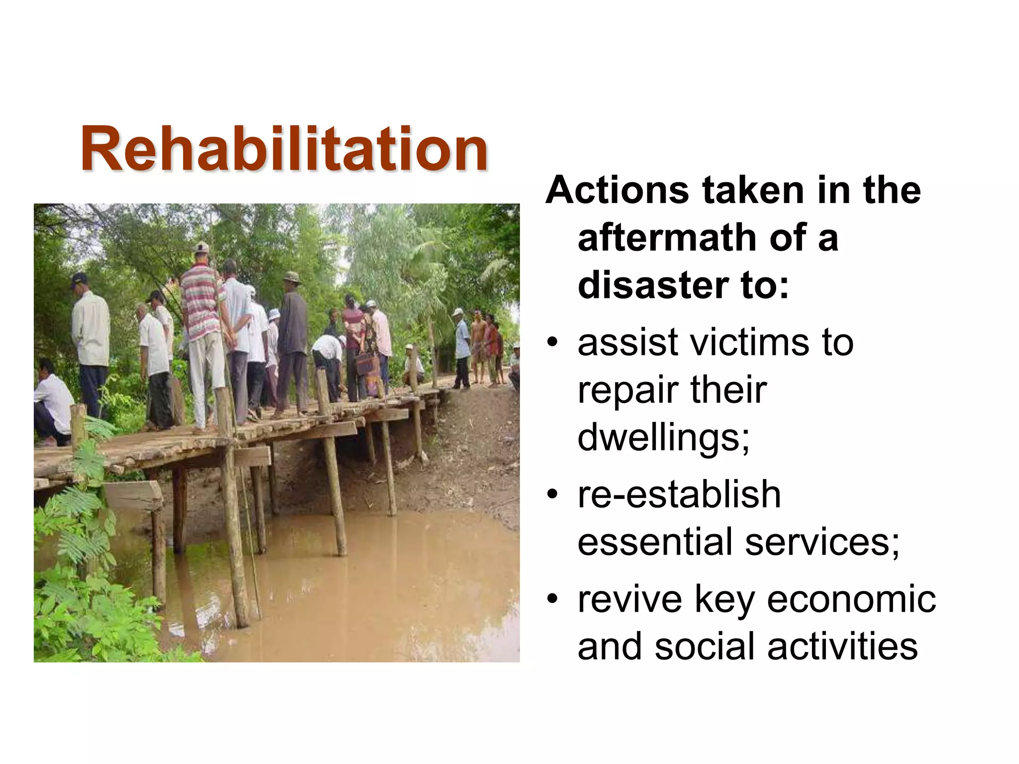 Disasters and Ecosystem: Philippine Setting | PPTX