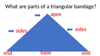 What are the parts of a triangular Bandage. PPT