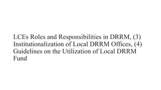 drrm roles.pptx