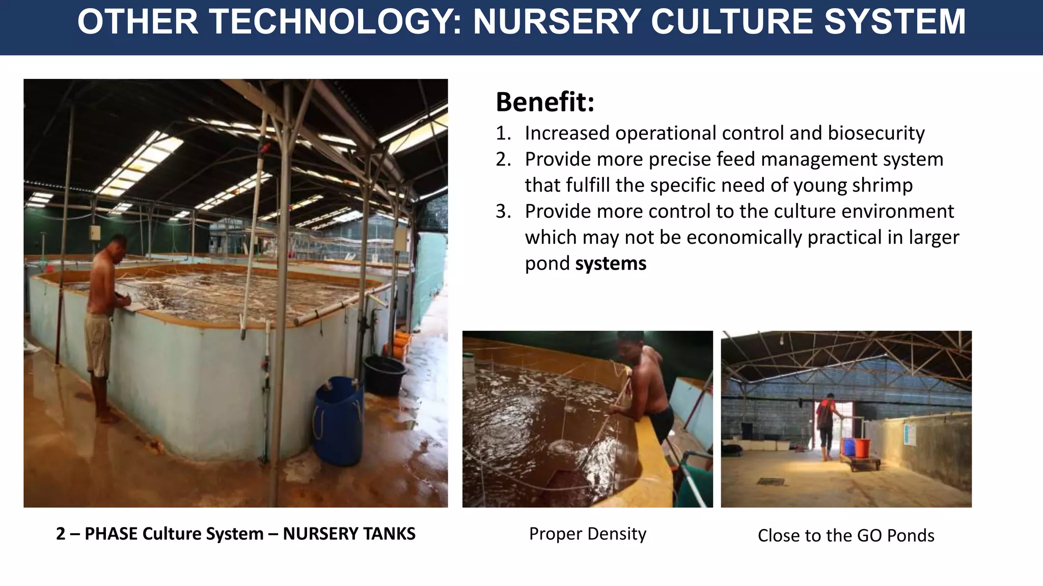 BASIC PRINCIPLES IN INTENSIVE FARMING SYSTEM: INDONESIA SCENARIO | PPT