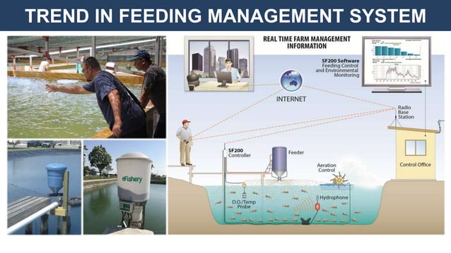 BASIC PRINCIPLES IN INTENSIVE FARMING SYSTEM: INDONESIA SCENARIO | PPT