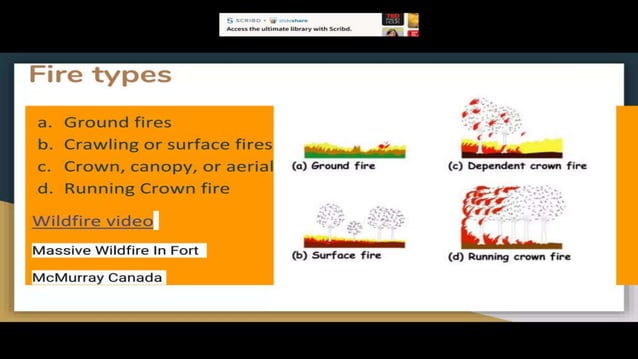 DRRR 12 Lesson 3 Fire Hazard.pptx