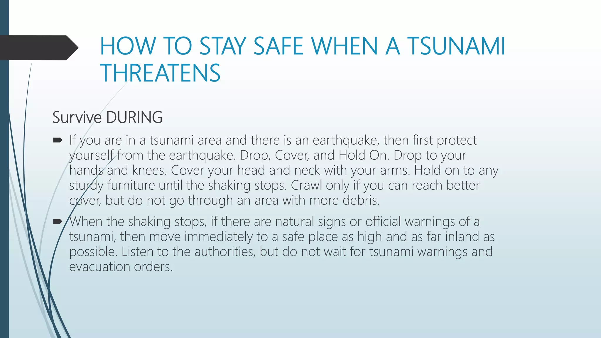 DRRR - Earthquake Hazards | PPTX