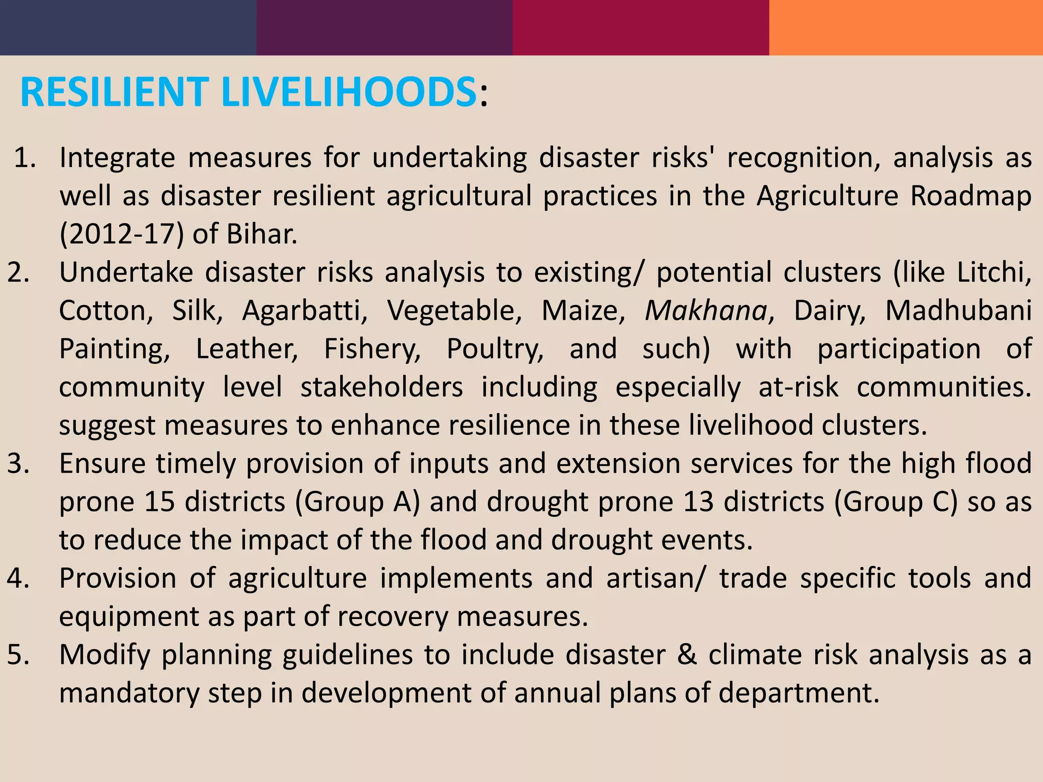 DRR Roadmap presentation | PPT