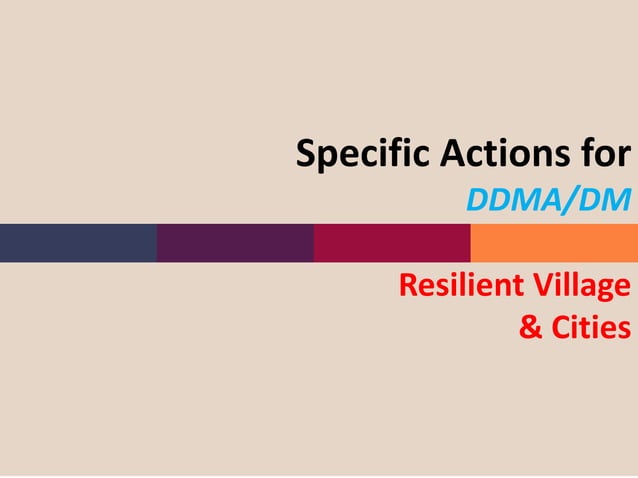 DRR Roadmap presentation | PPT