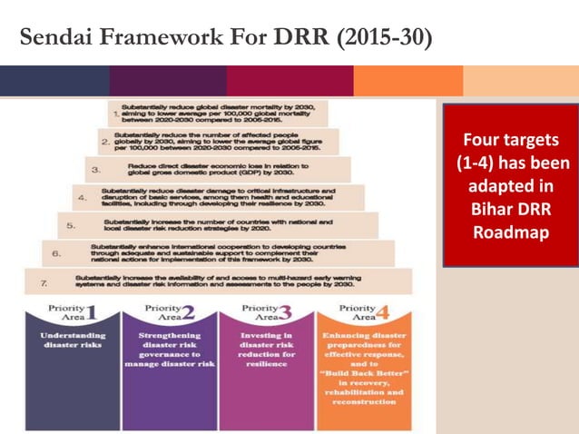 DRR Roadmap presentation | PPT