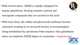 Dr RR Paracetamol poisoning and management | PPT