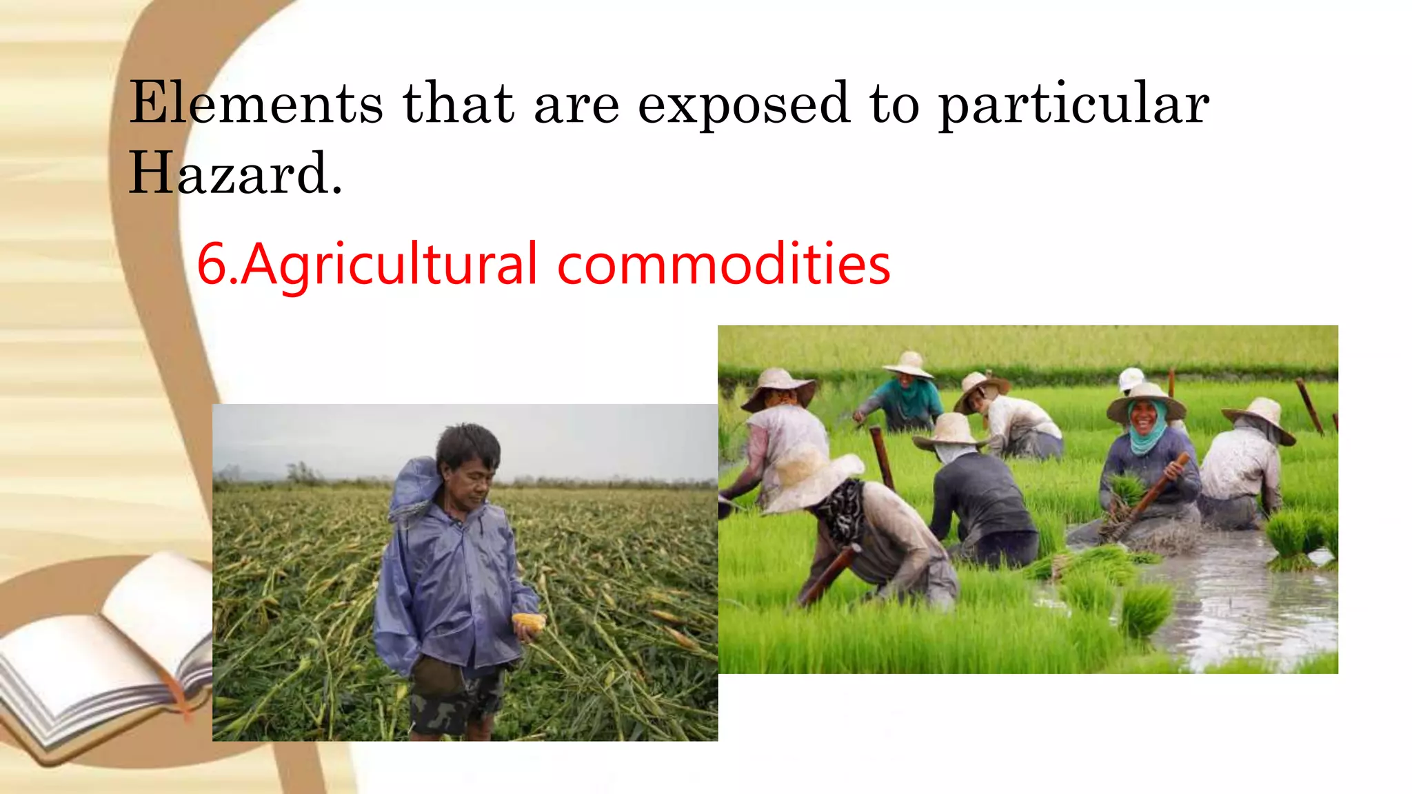 Vulnerability, Elements exposed to a hazard.pptx