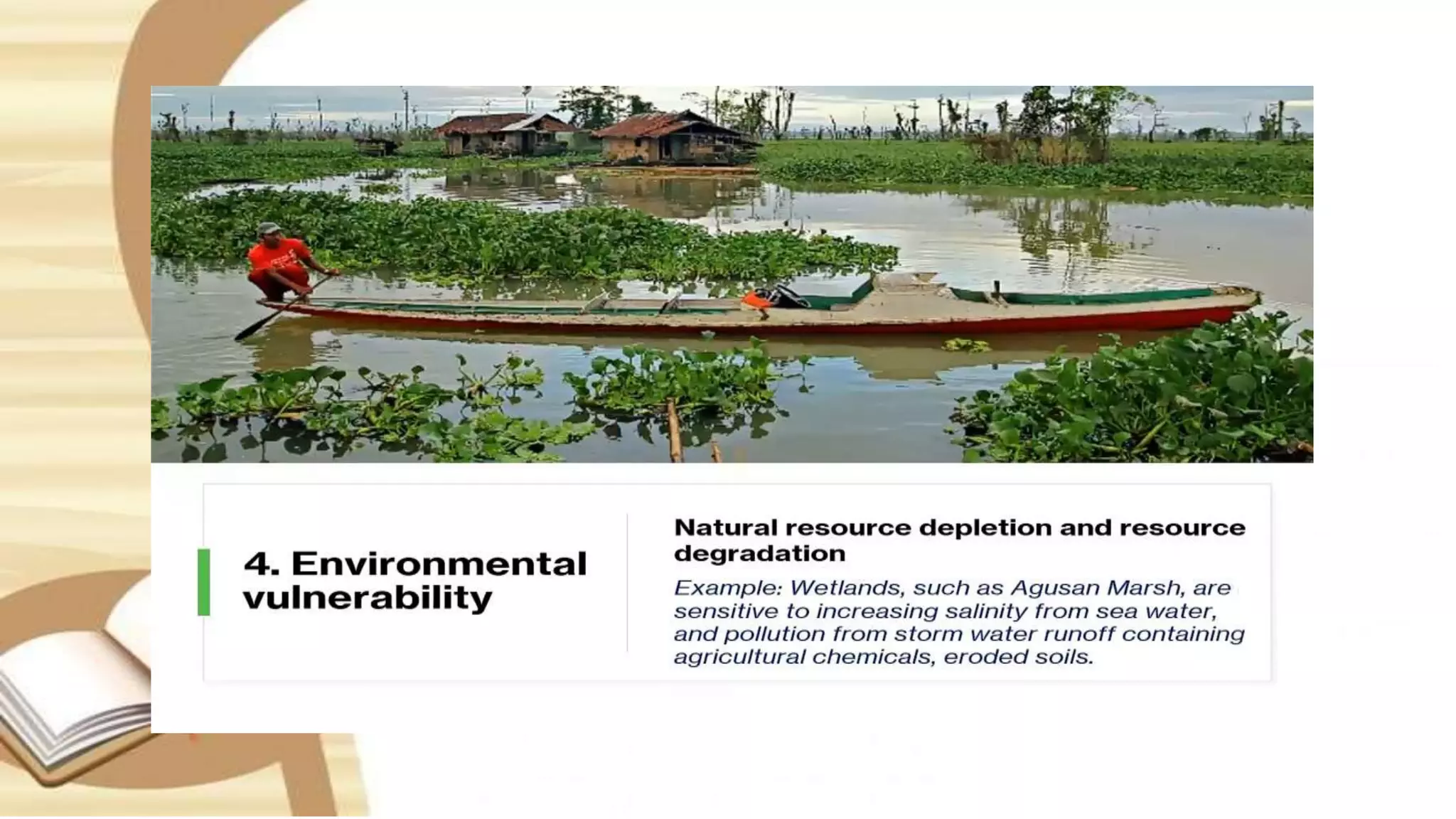 Vulnerability, Elements exposed to a hazard.pptx