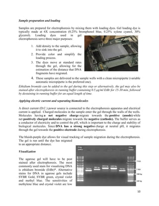 Molecular Biology Practical Equipments.pdf