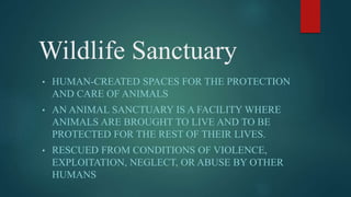 Wildlife Sanctuaries | PPT