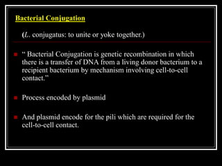 Bacterial Conjugation Process