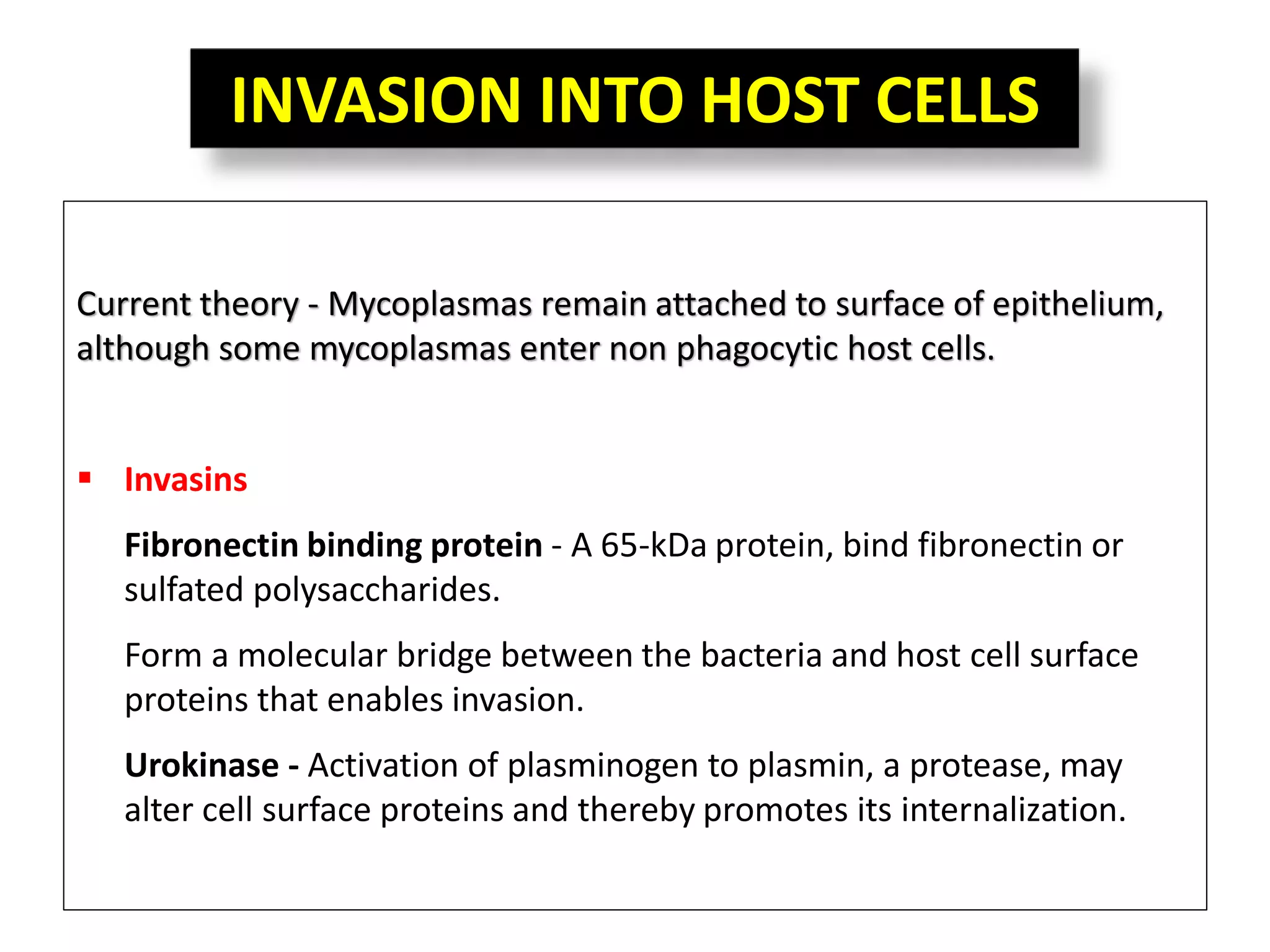 Pathogenesis of Mycoplasmosis | PDF