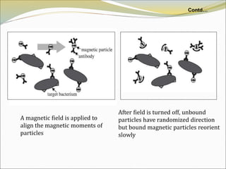 Nanoparticles & Its Use in Diagnosis of Bacterial Diseases | PDF