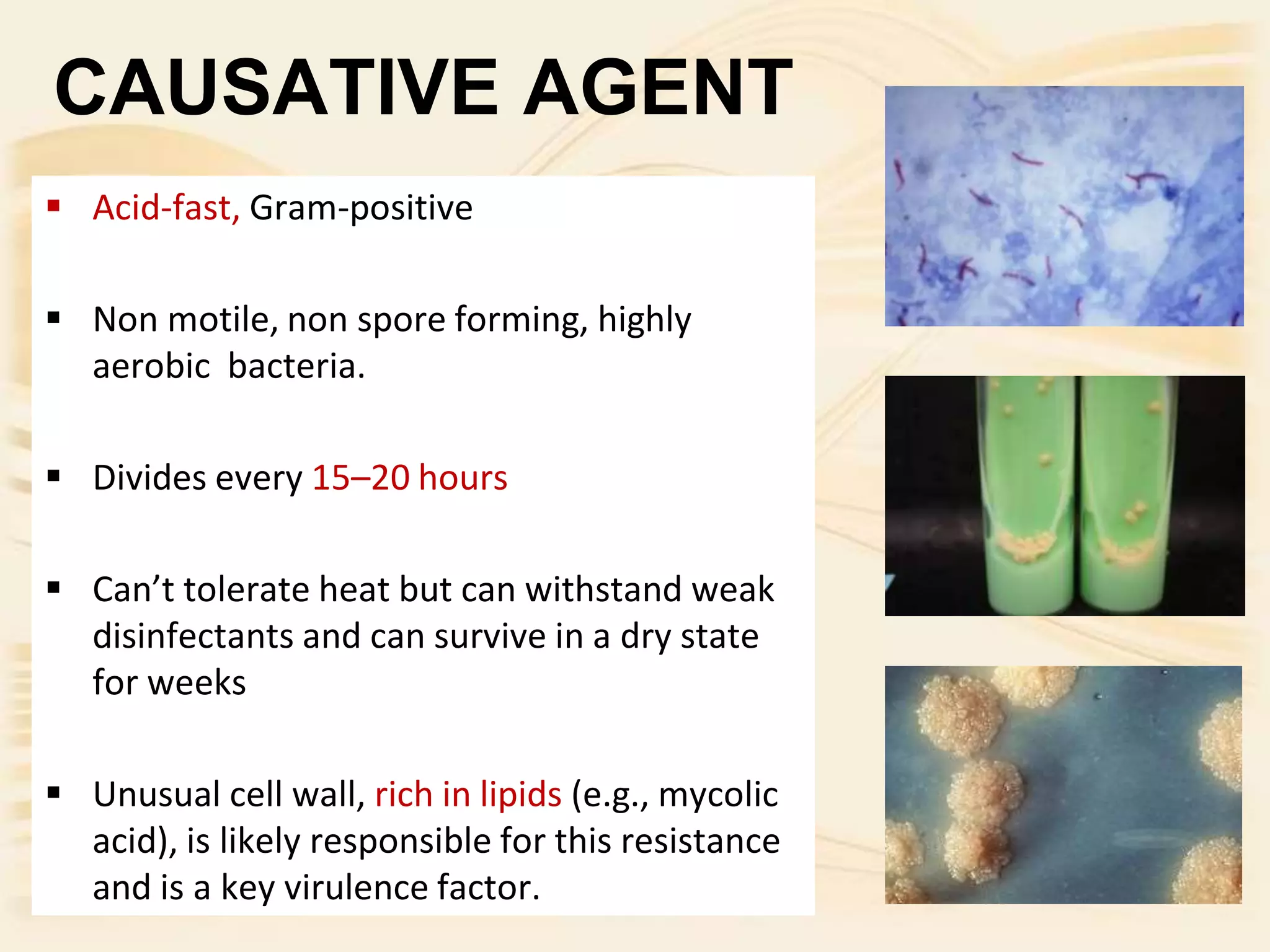 REPRODUCTIVE TRACT INFECTIONS DUE TO MTB | PPT