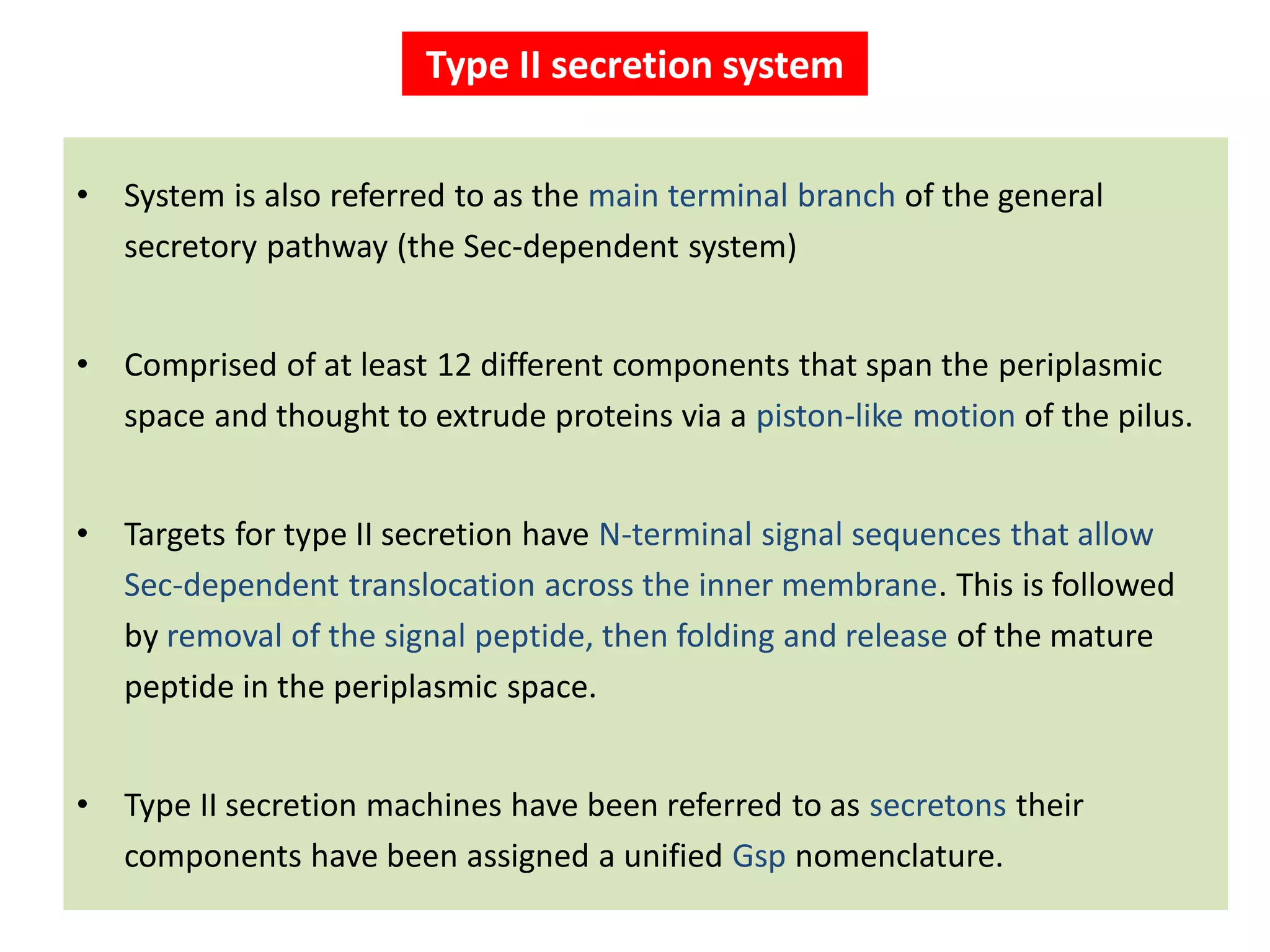 Secretion Systems of Bacteria | PDF