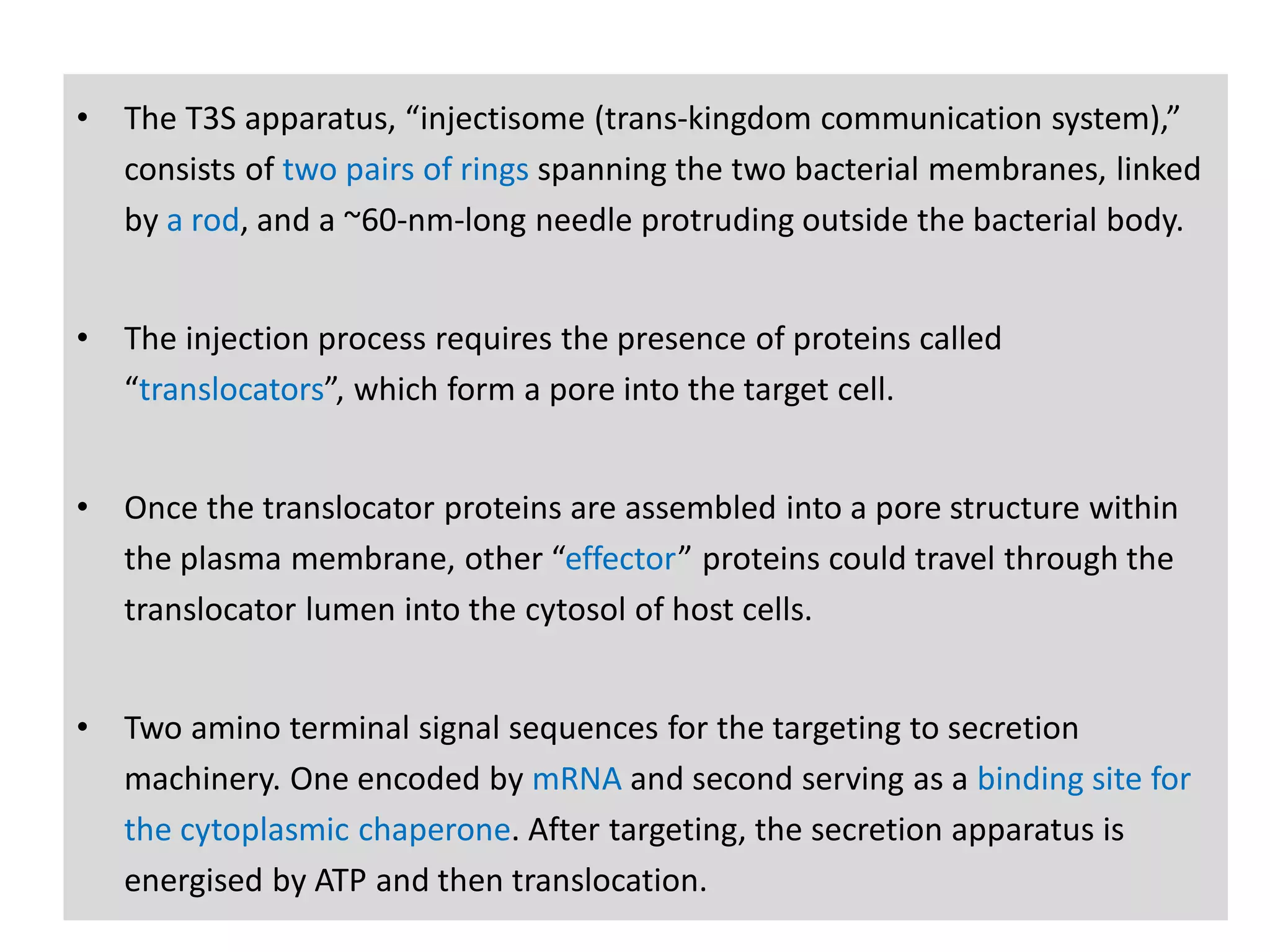 Secretion Systems of Bacteria | PDF