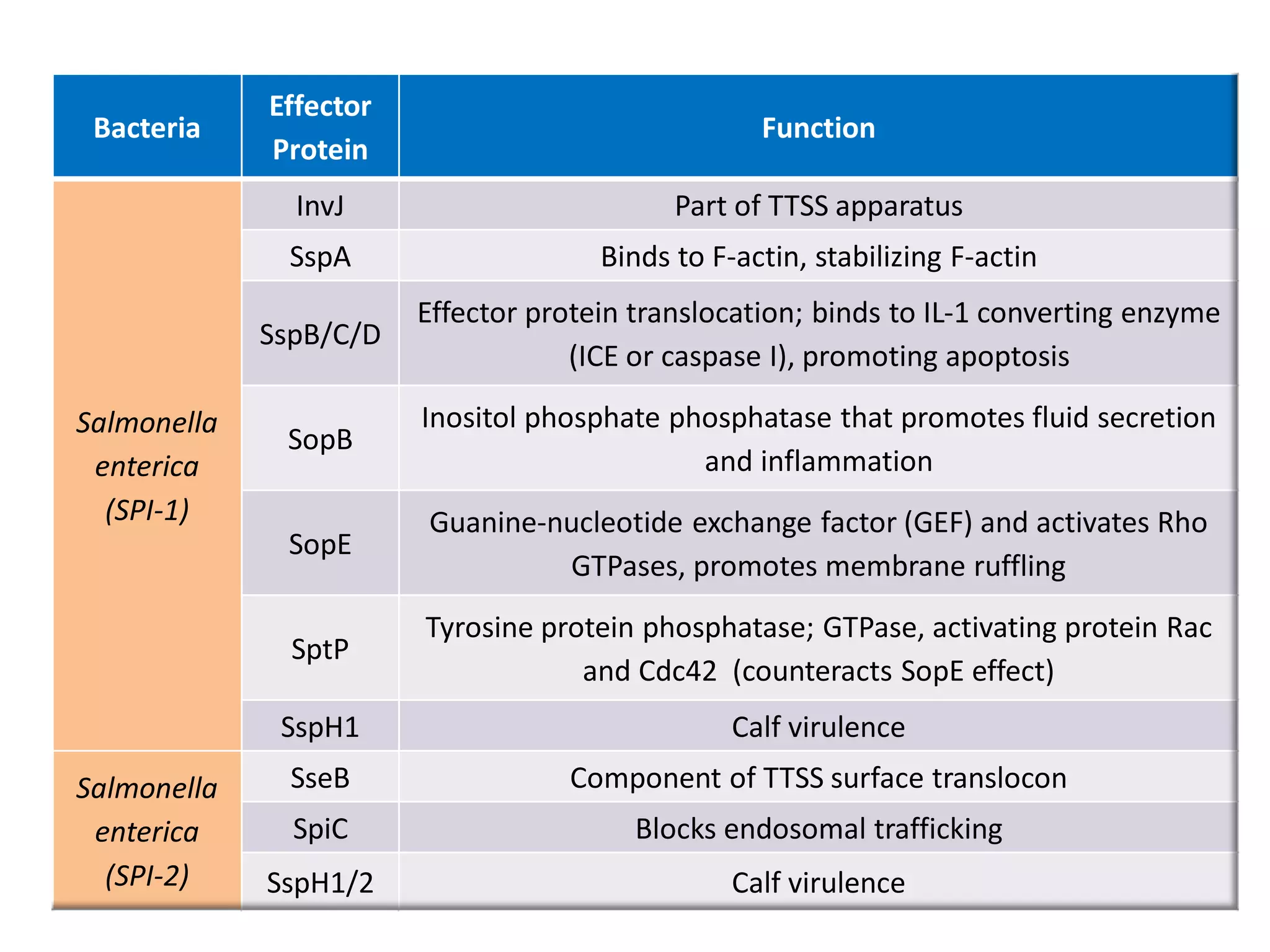 Secretion Systems of Bacteria | PDF