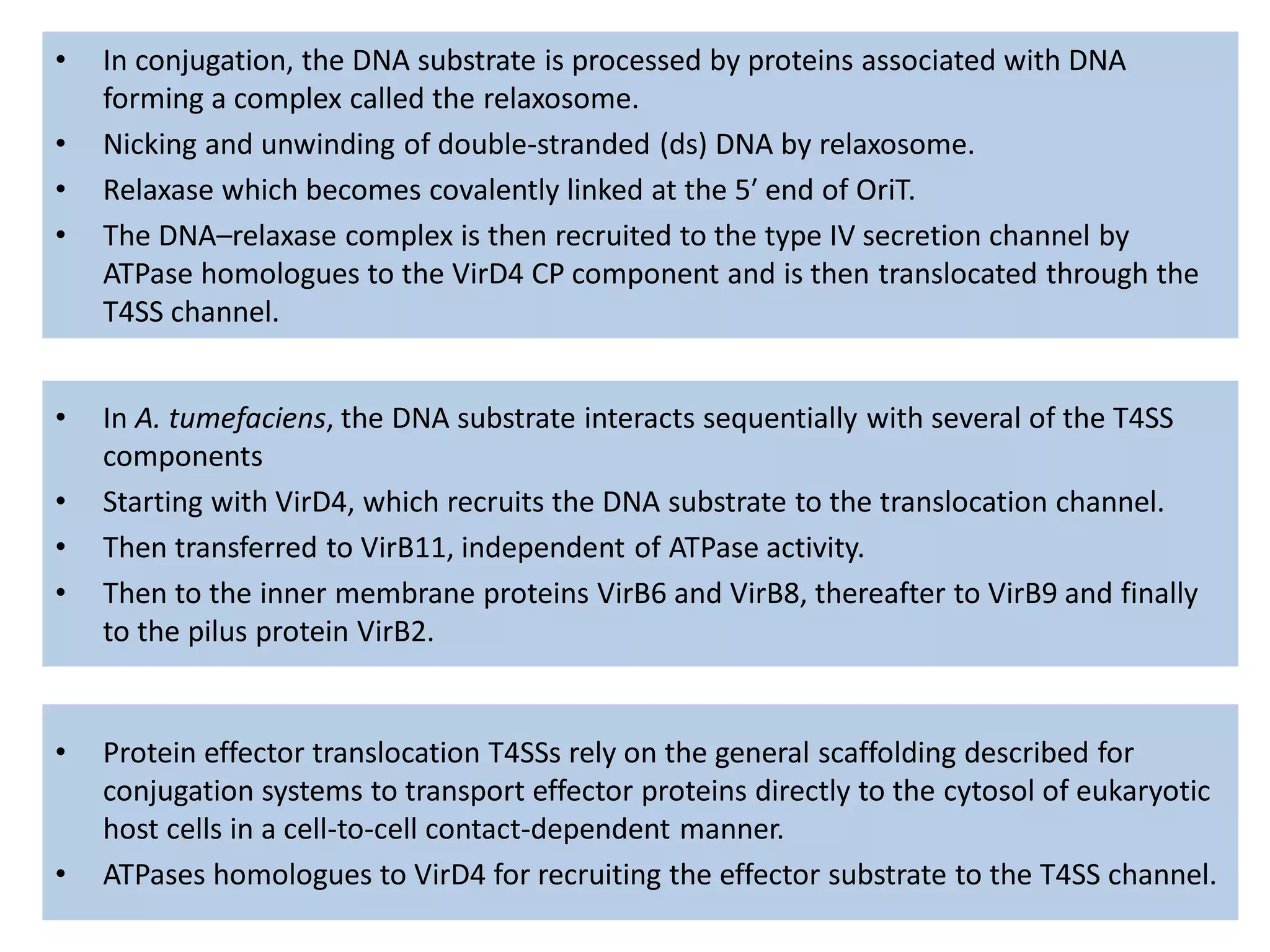 Secretion Systems of Bacteria | PDF