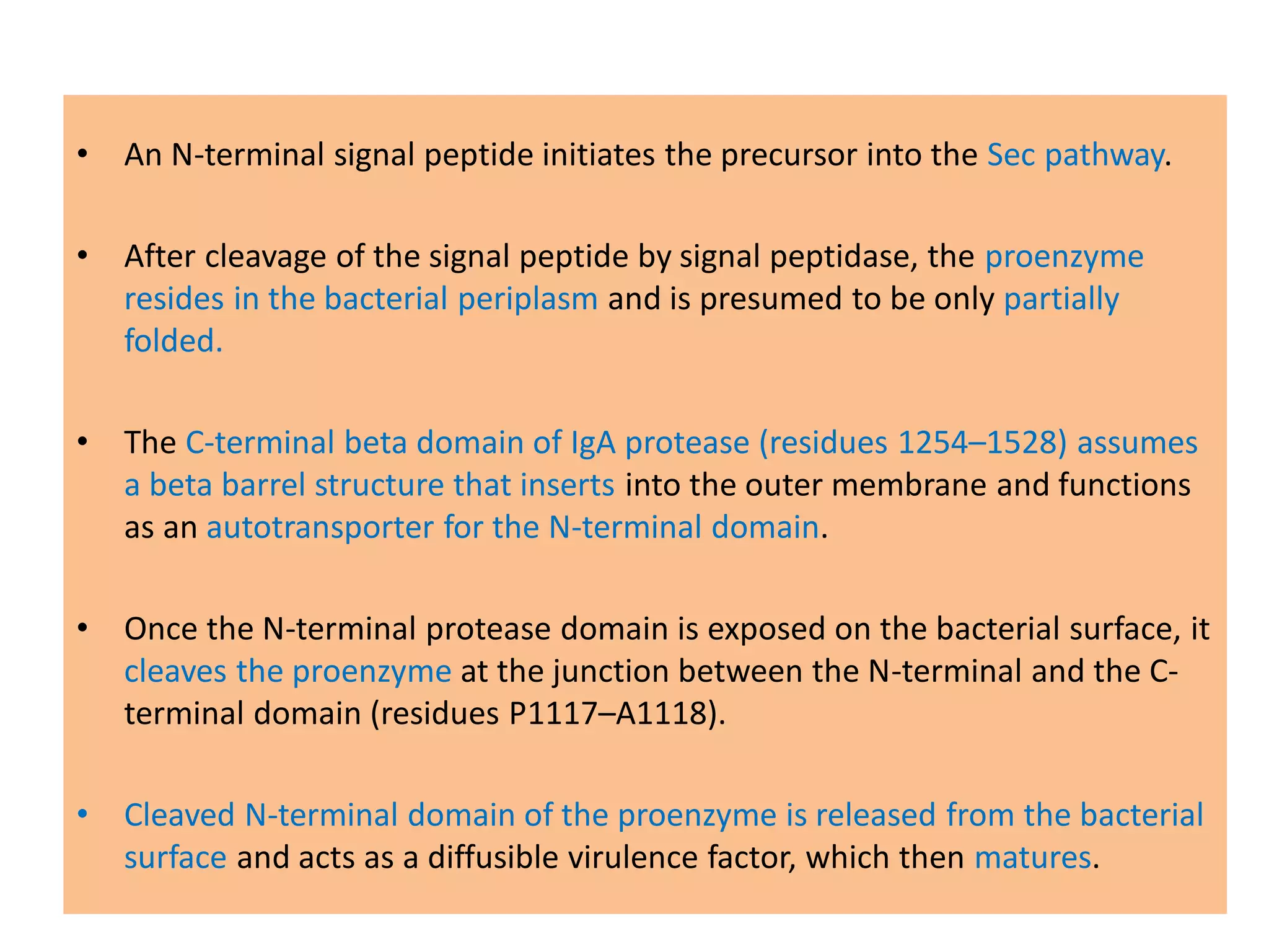 Secretion Systems of Bacteria | PDF
