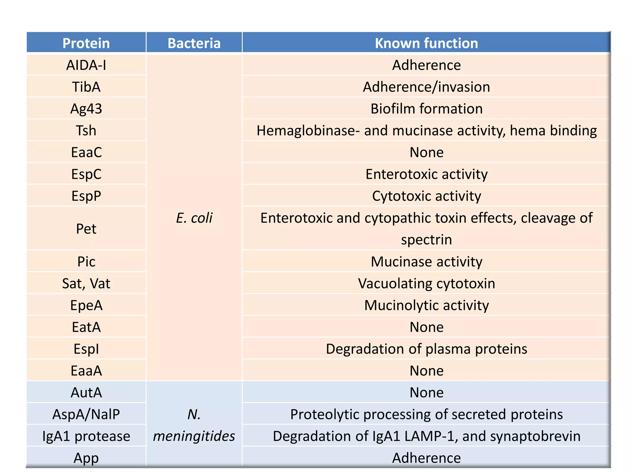 Secretion Systems of Bacteria | PDF