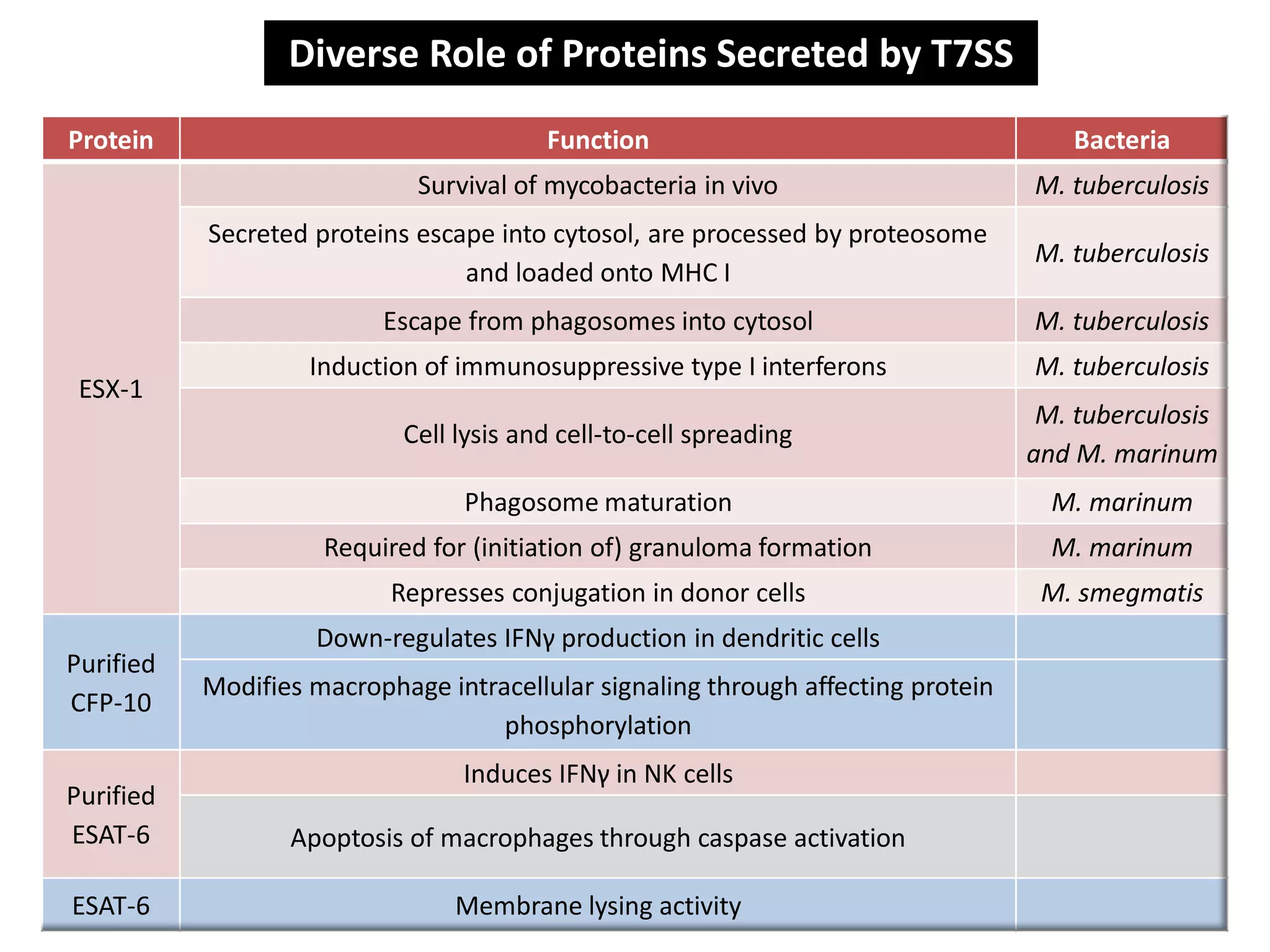 Secretion Systems of Bacteria | PDF
