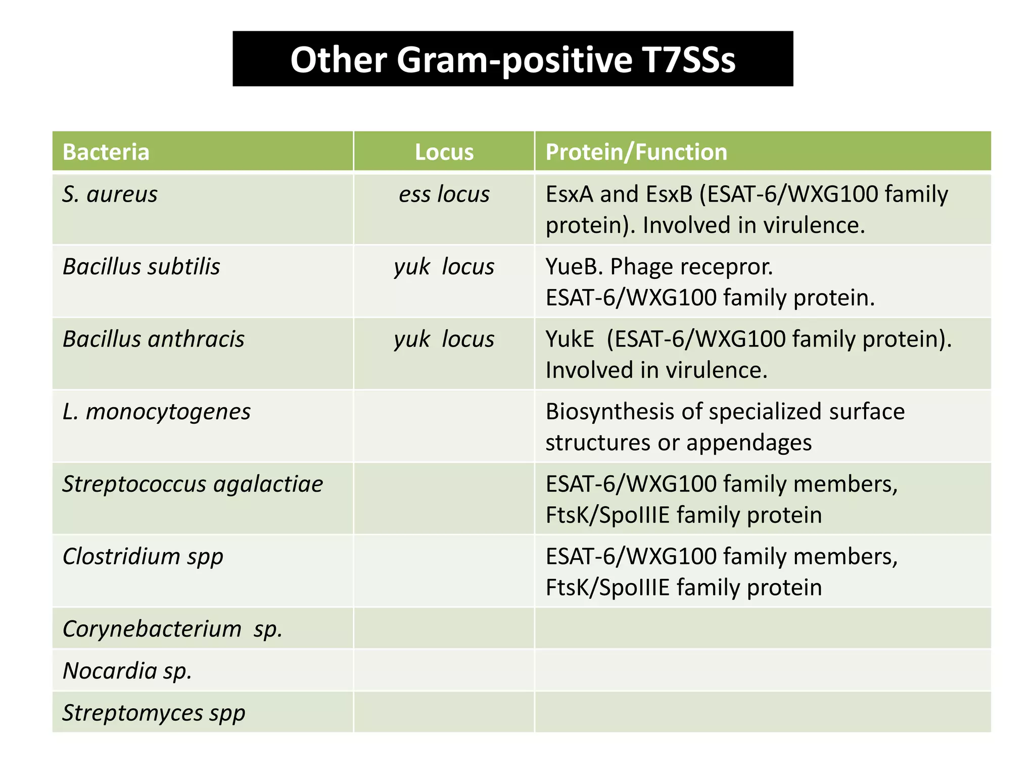 Secretion Systems of Bacteria | PDF