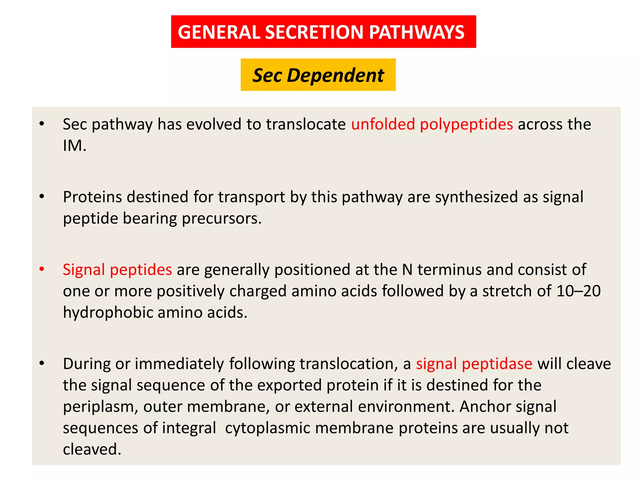 Secretion Systems of Bacteria | PDF