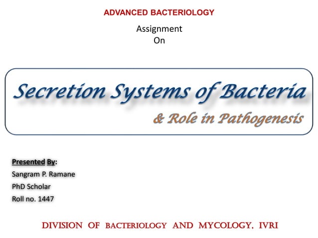 Secretion Systems of Bacteria | PDF | Chemistry | Science