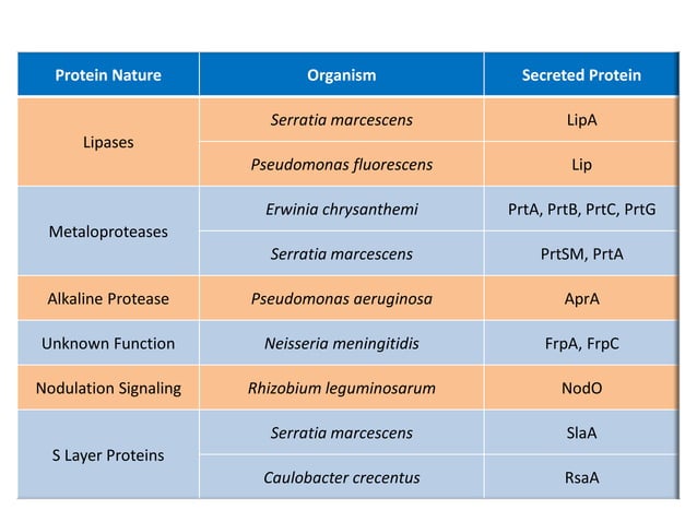 Secretion Systems of Bacteria | PDF | Chemistry | Science