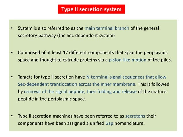 Secretion Systems of Bacteria | PDF | Chemistry | Science