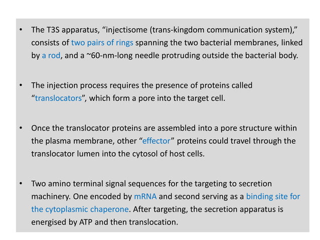 Secretion Systems of Bacteria | PDF | Chemistry | Science