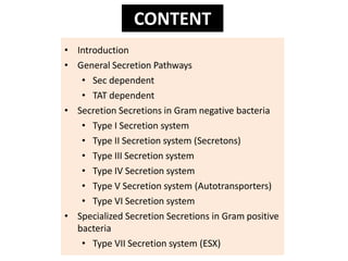 Secretion Systems of Bacteria | PDF