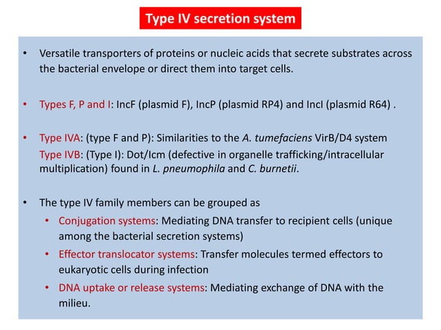 Secretion Systems of Bacteria | PDF | Chemistry | Science