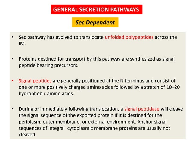 Secretion Systems of Bacteria | PDF | Chemistry | Science