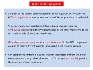 Secretion Systems of Bacteria | PDF