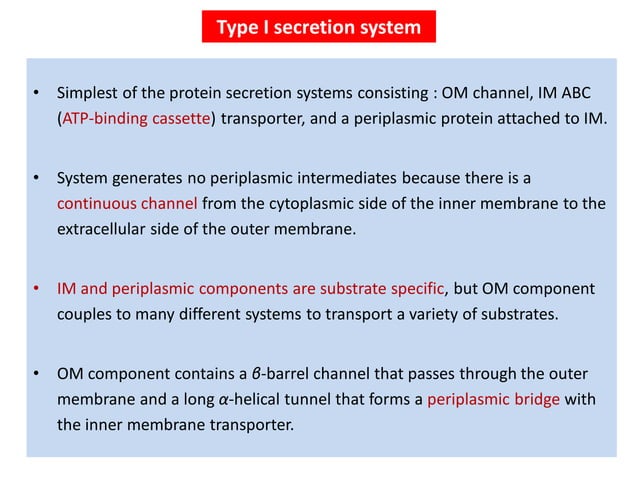 Secretion Systems of Bacteria | PDF | Chemistry | Science