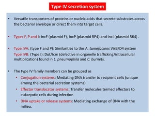 Secretion Systems of Bacteria | PPT