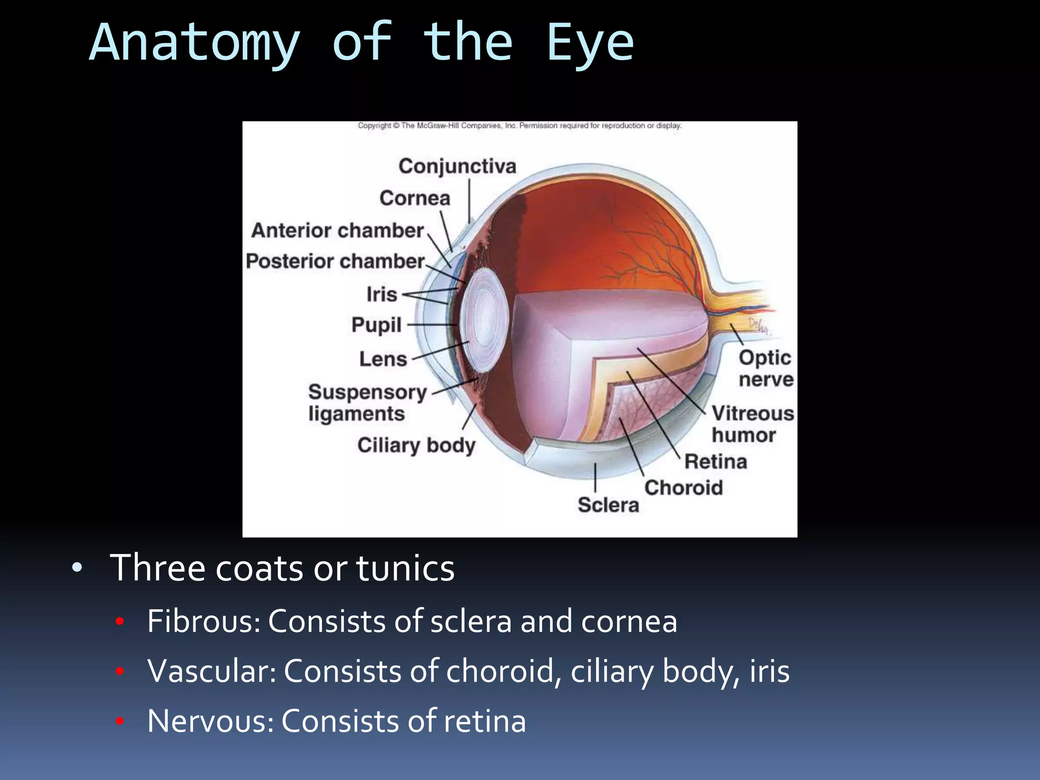 Dr screening training for nurses 3 a-anatomy & physiology of eye | PPT
