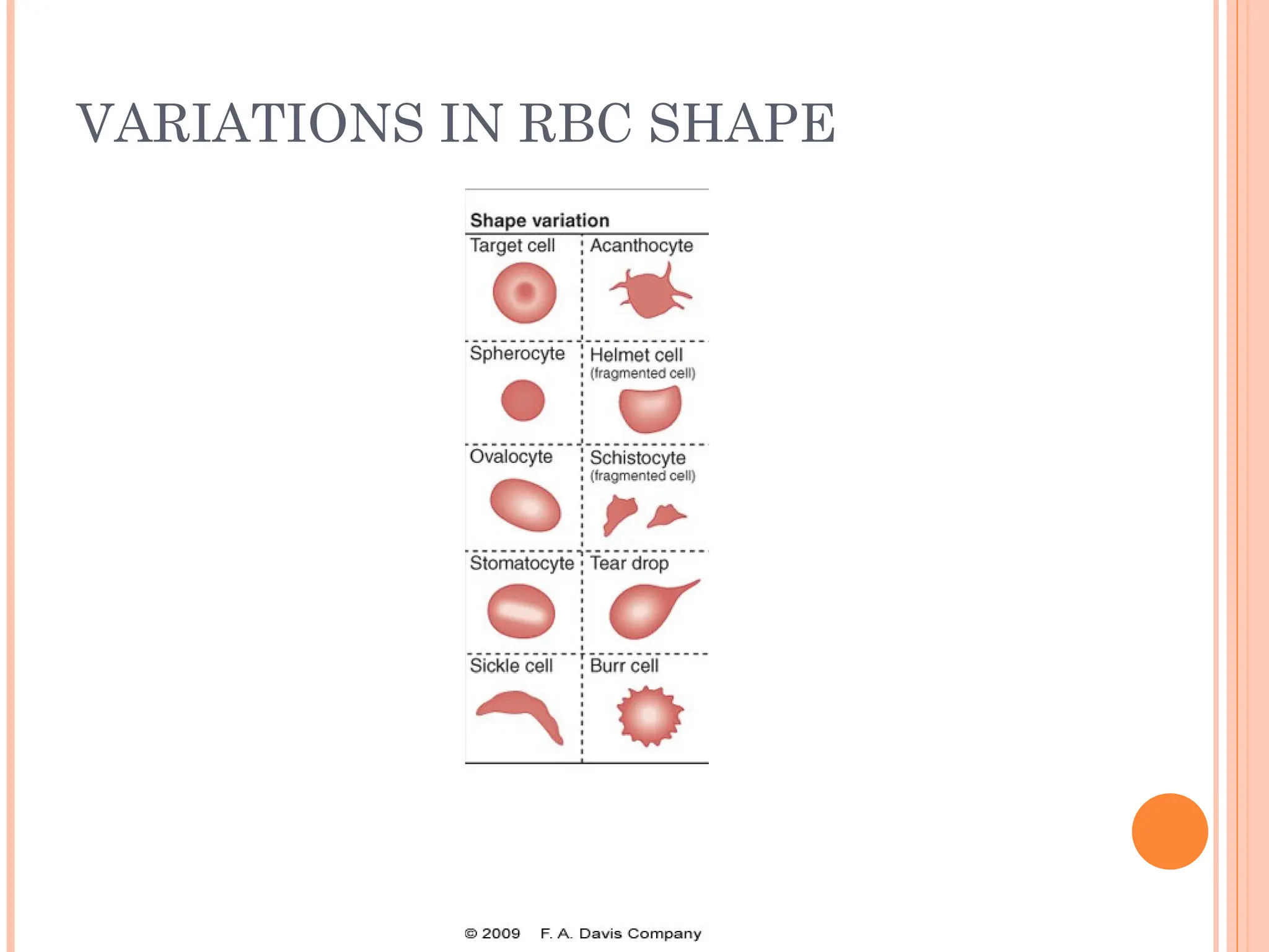 (DR SESAY)Lecture 3 - Classification of anemias.ppt