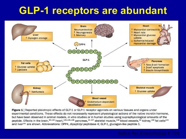 Entero Insular Axis , Dr sherif W. Mansour.