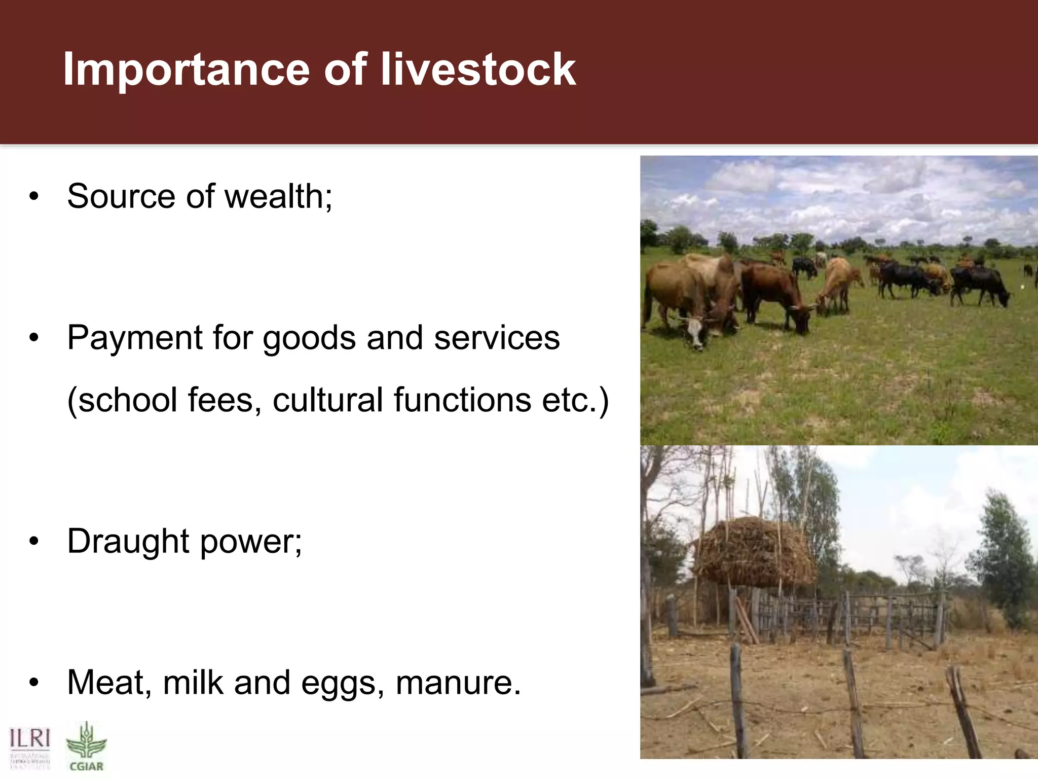 Diversification of Livestock to Build Resilience of Farmers | PPTX