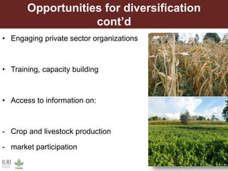 Diversification of Livestock to Build Resilience of Farmers | PPTX