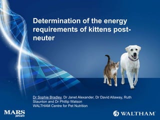 Determination of the energy requirements of kittens post-neuter | PPTX