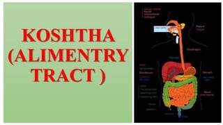 Dr Sujit Kumar MD koshta | PPTX