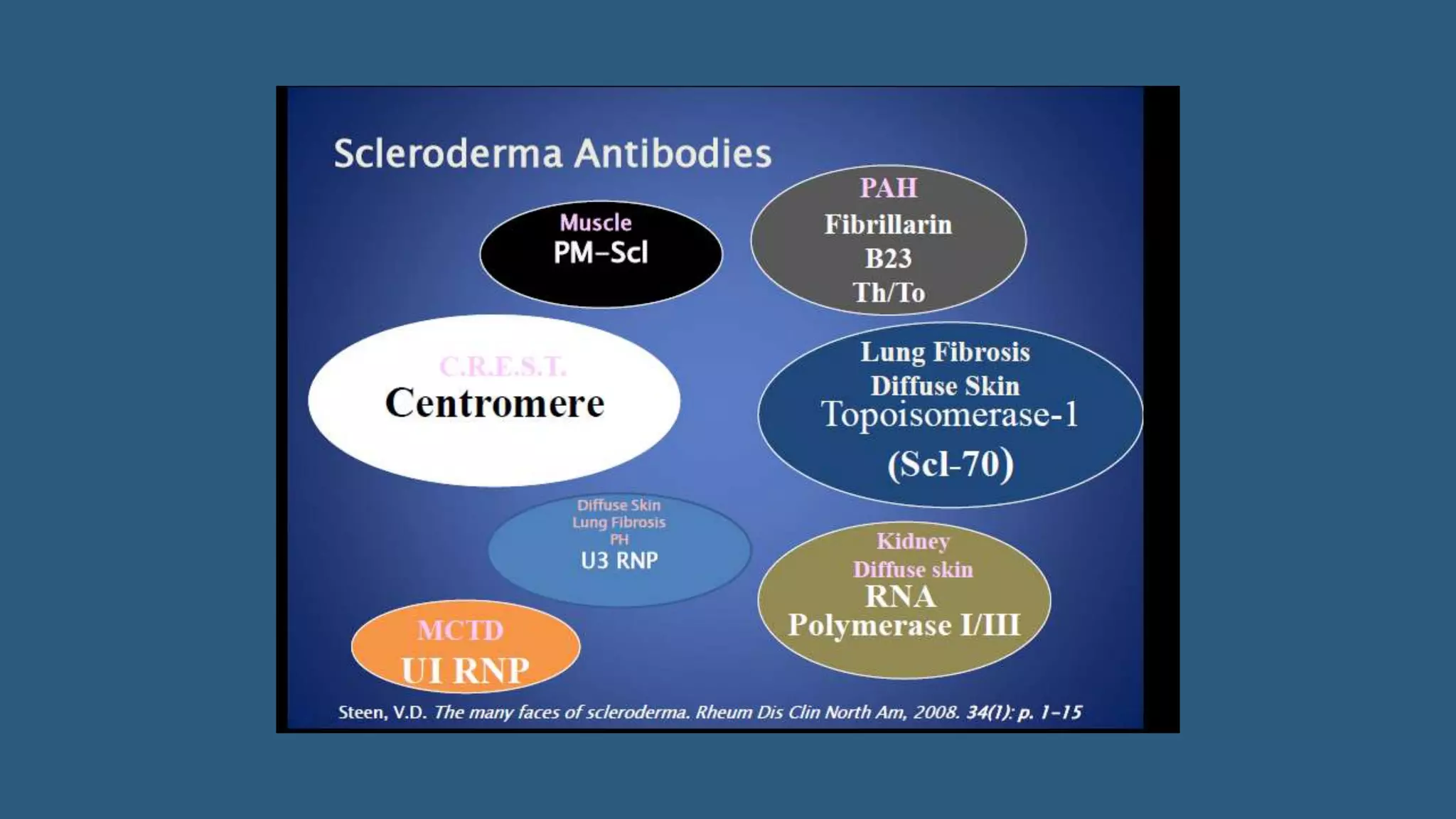 Scleroderma Overview & Insights | PPT