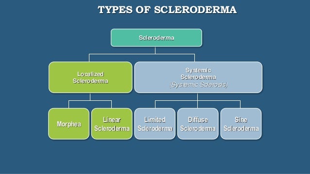 Scleroderma Overview & Insights